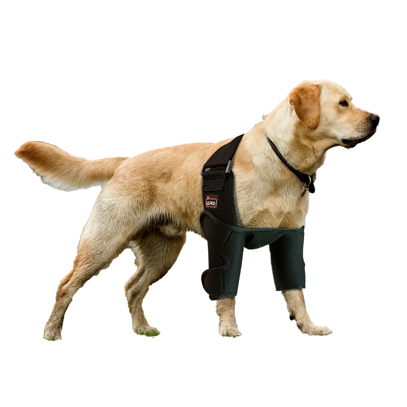 Lispoo Dog Elbow Braces For Double Leg Offers Elbow Support And Protec ...