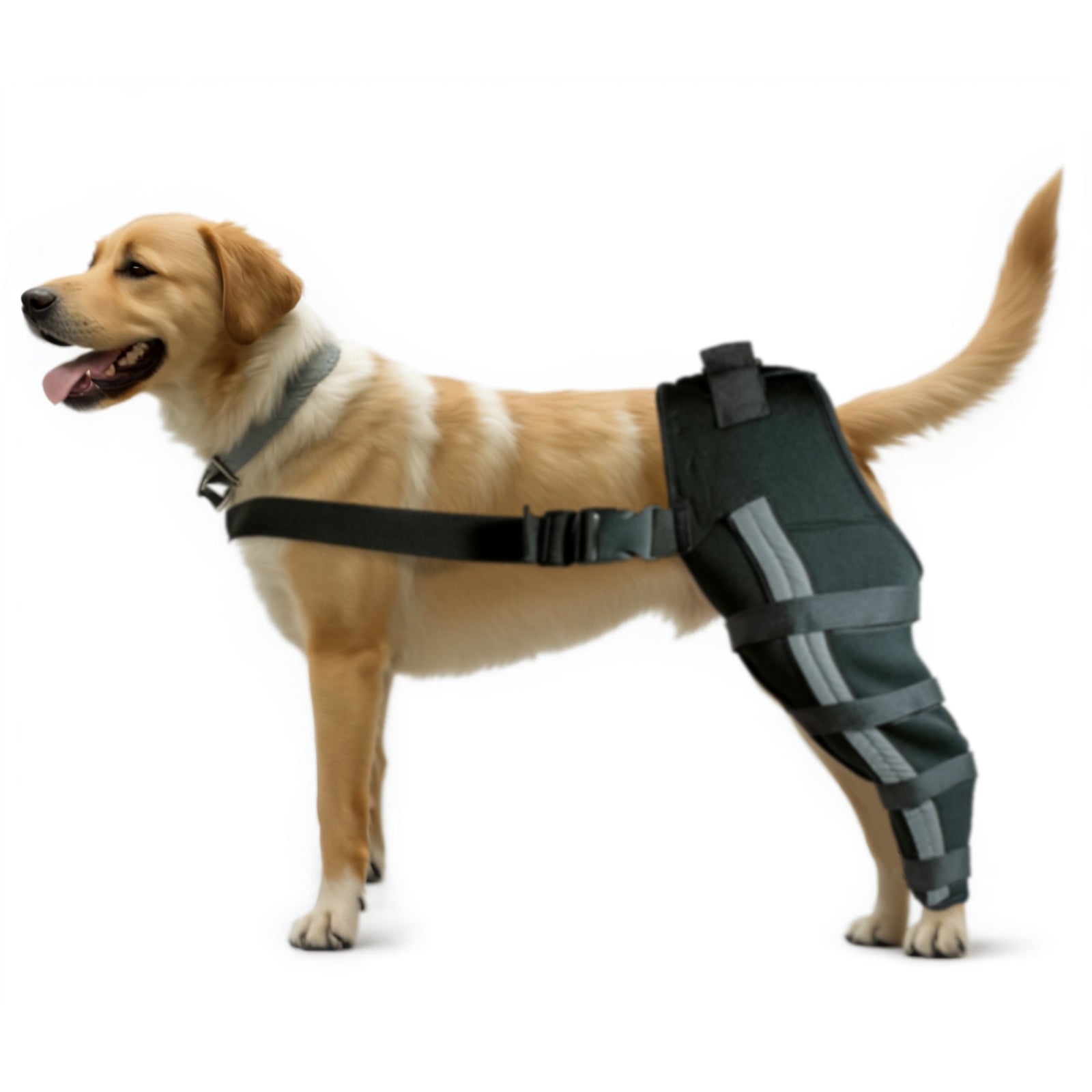Lispoo Dog Brace For Double Hind Leg With Reflective Strips – LISPOO