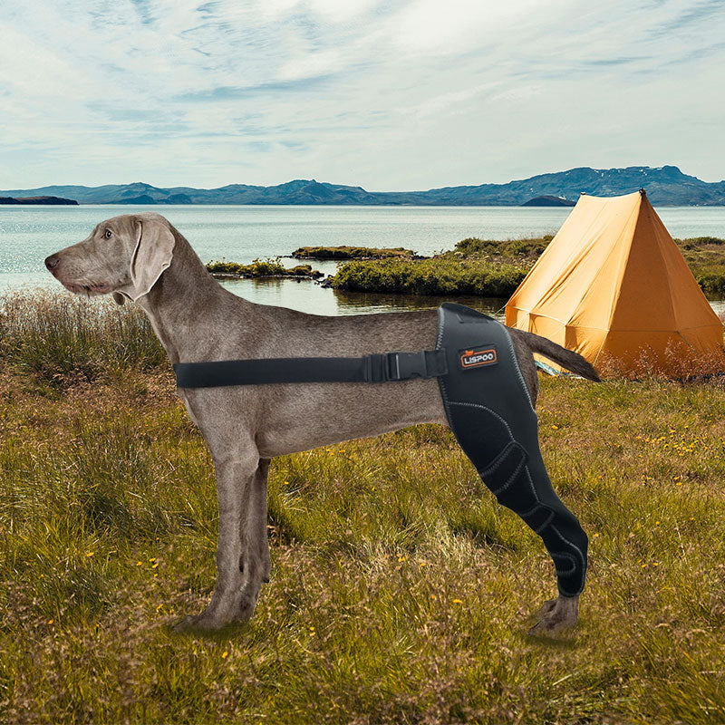 Lispoo Dog Leg Brace For Torn Acl With Adjustable Long Straps – LISPOO