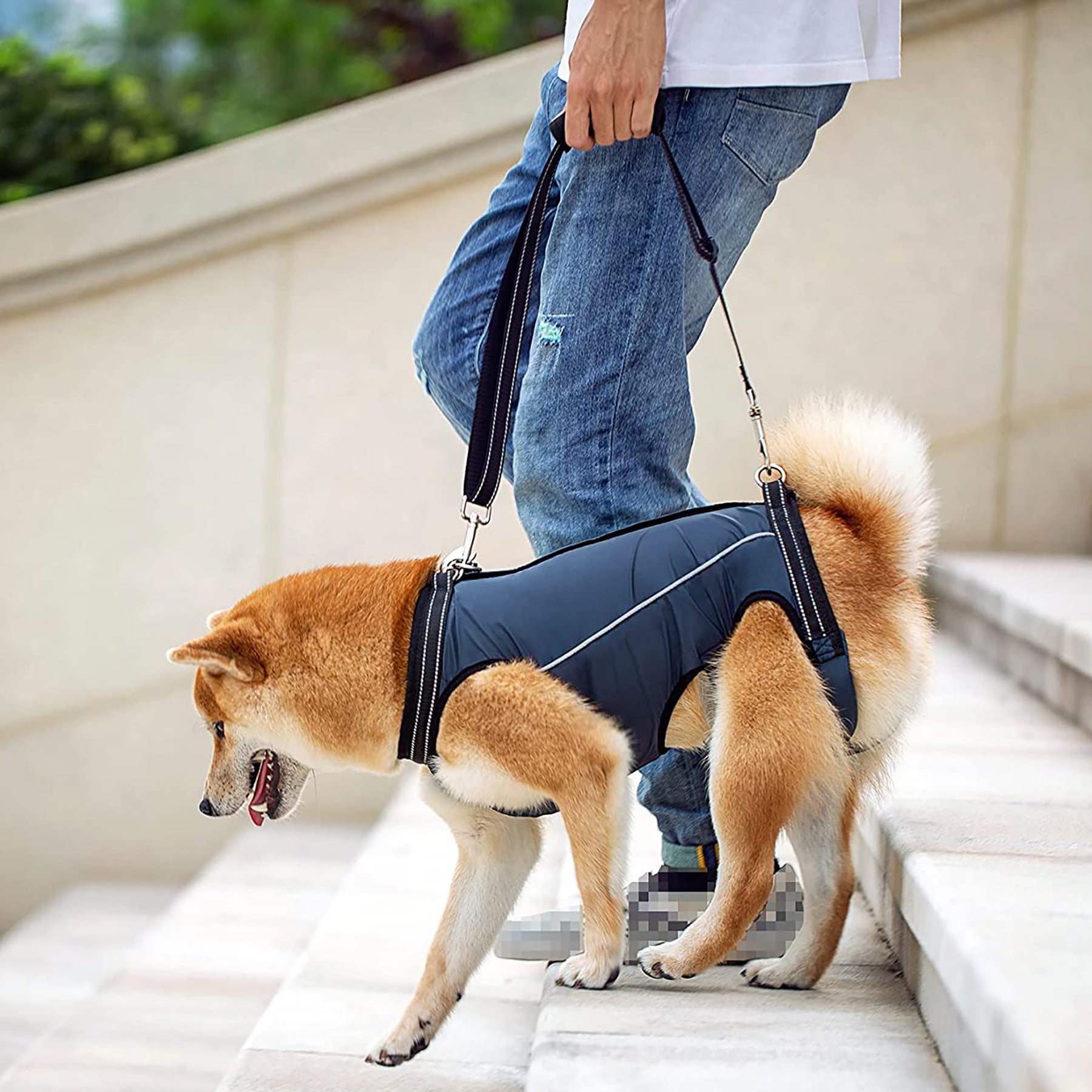 Lispoo Dog Lift Harness Full Body Support – LISPOO
