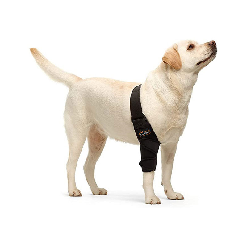 Lispoo Dog Eleow Braces For Single Leg Offers Elbow Support And Protec ...