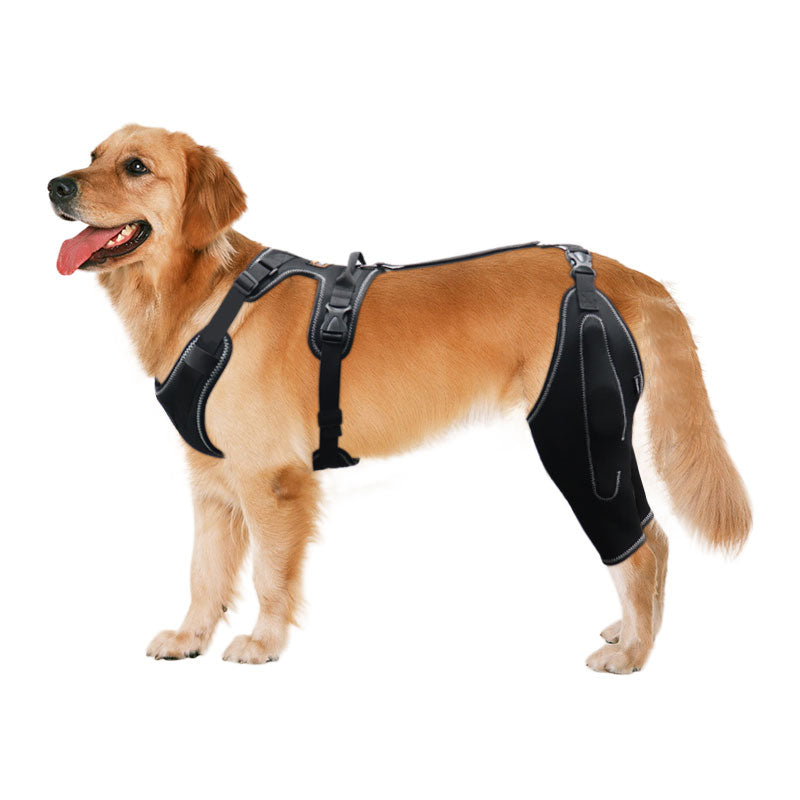 Lispoo Dog Knee Brace with Metal Splint Hinge Support For Double Leg ...