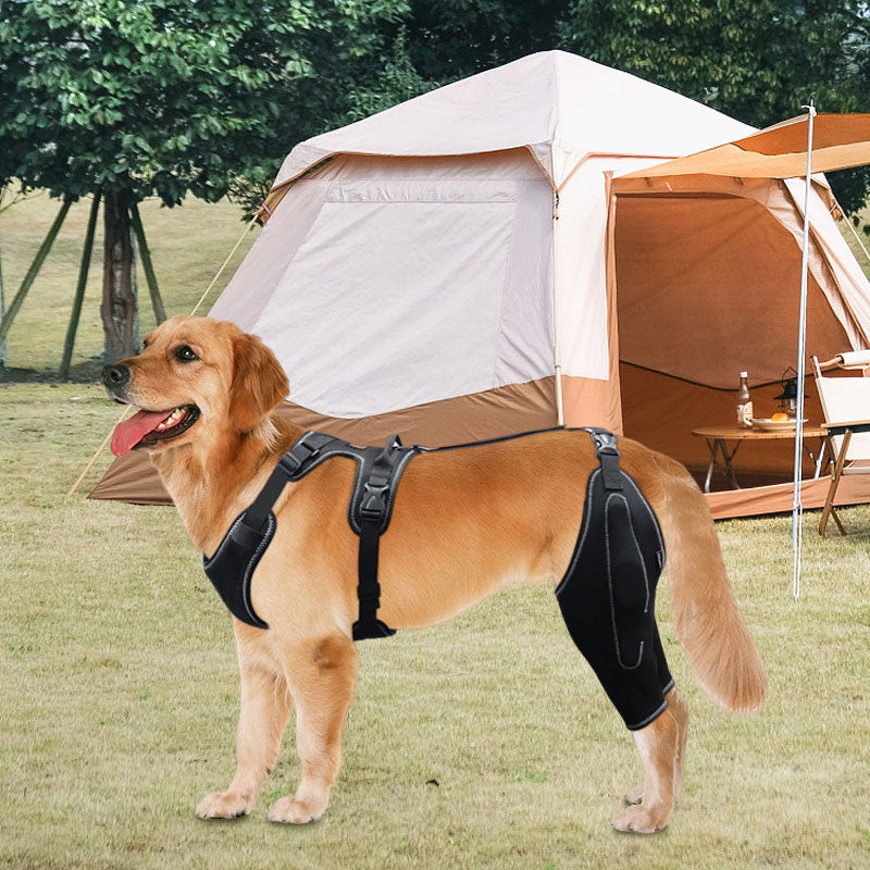 Lispoo Dog Knee Brace with Metal Splint Hinge Support For Double Leg ...