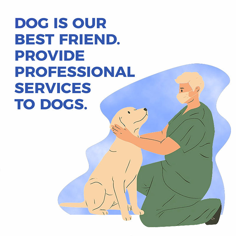 Lispoo Dog Knee Brace with Metal Splint Hinge Support For Double Leg ...