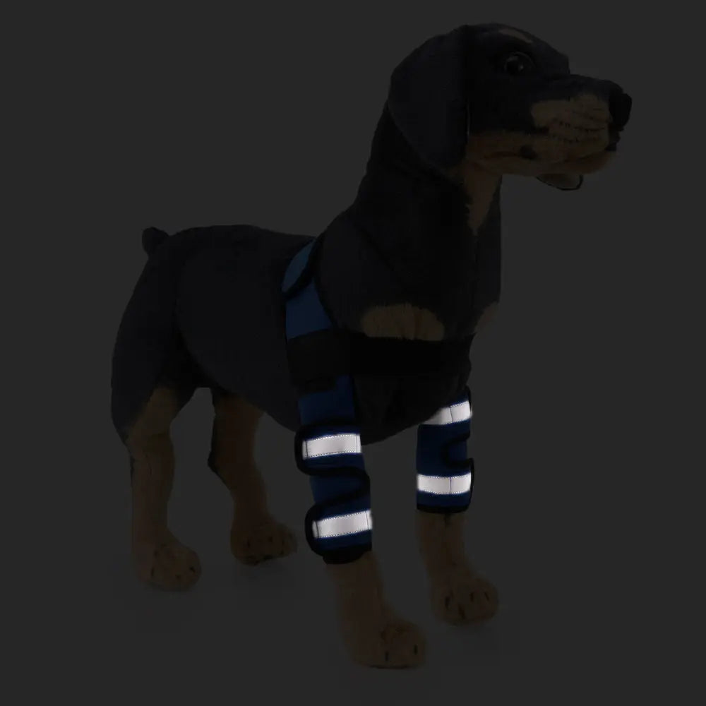 Lispoo Hinged Dog Shoulder Support Brace – LISPOO