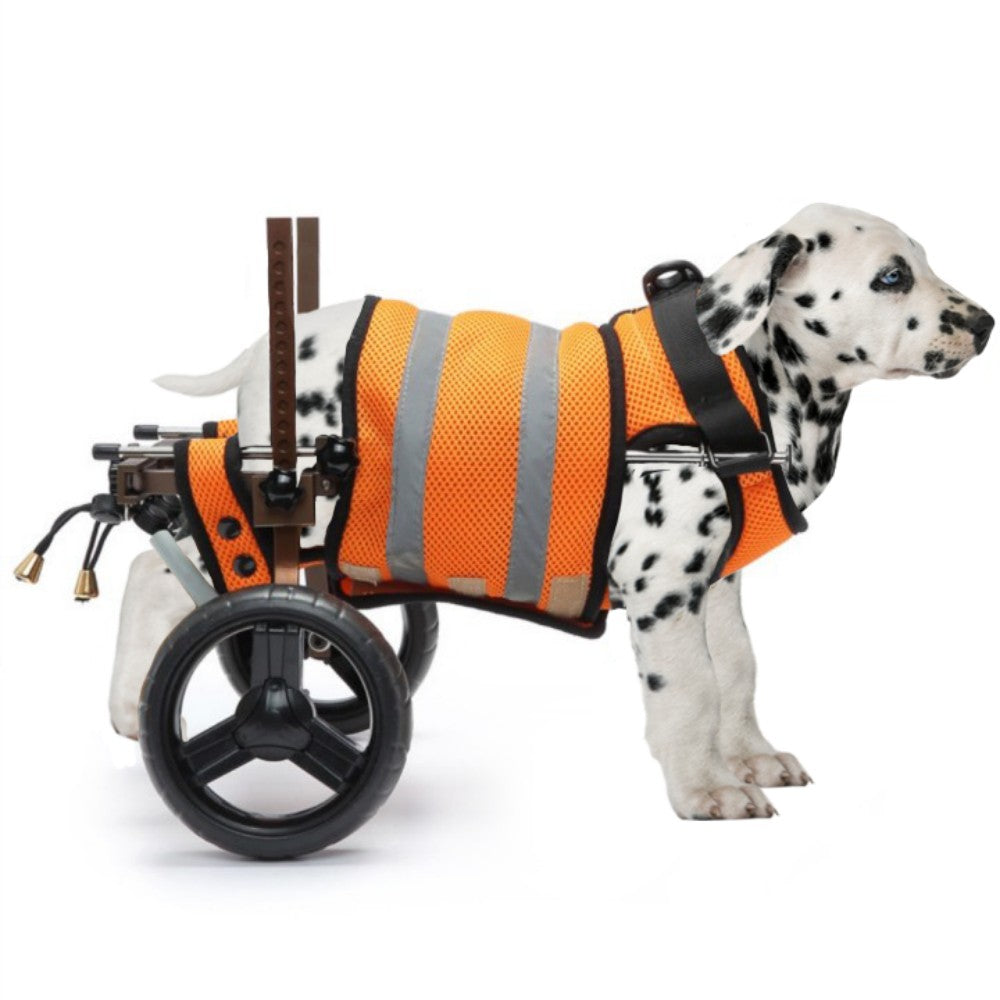Small Rear Support Dog Wheelchair– LISPOO